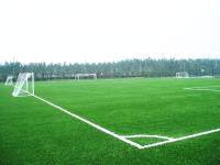 China Landscaping Football Field Artificial Turf Fake Grass SGF ISO9001 Certification for sale