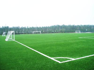 China Landscaping Football Field Artificial Turf Fake Grass SGF ISO9001 Certification for sale