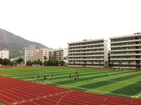 China Gardens / Football Artificial Turf Fake Grass Mats Anti-aging Environment Friendly for sale