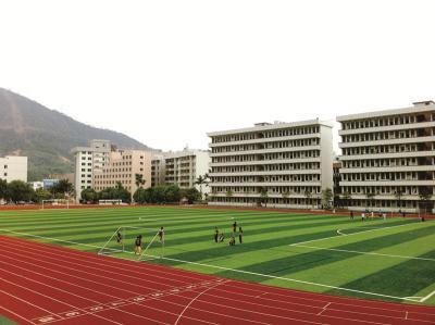 China Gardens / Football Artificial Turf Fake Grass Mats Anti-aging Environment Friendly for sale