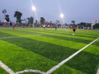 China AVG 60MM Artificial Football Turf Artificial Carpet Artificial Grass for sale