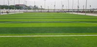 China 70mm Grass Carpets Synthetic Grass Artificial Grass For Football Field for sale
