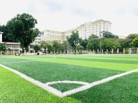 China 55mm Baseball Football Field Grass Synthetic Soccer Green Artificial Turf for sale