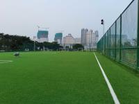 China Professional Football Artificial Grass Sports Flooring For Soccer for sale