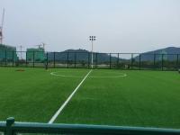 China Soccer Artificial Turf Grass Football Artificial Grass Sports Flooring For Wholesale for sale