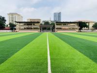 China 55mm Artificial Grass Sports Flooring For Soccer Football Ground for sale