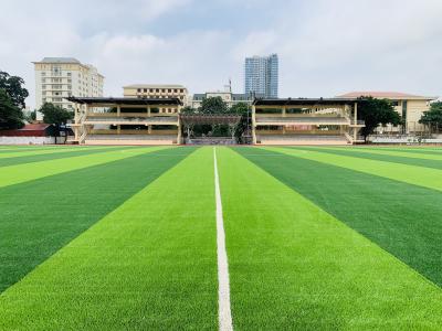China 55mm Artificial Grass Sports Flooring For Soccer Football Ground for sale