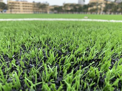 China AVG 60mm Turf Grass Carpet For Factory Soccer Football Field Outdoor for sale