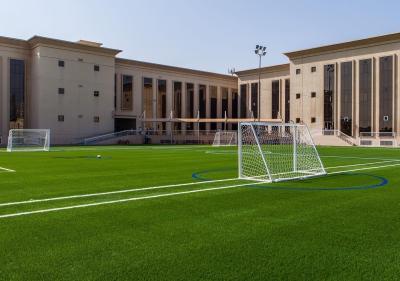 China 35mm Fake Grass Artificial Turf For Football Soccer Playground for sale