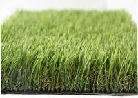 China Ornaments Type And PE Material Landscaping Grasses Artificial Turf For Garden Decoration for sale