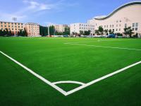 China Football Grass Artificial Grass For Football Soccer Grass Soccer for sale