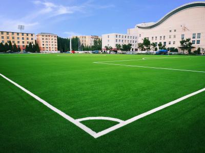 China Football Grass Artificial Grass For Football Soccer Grass Soccer for sale