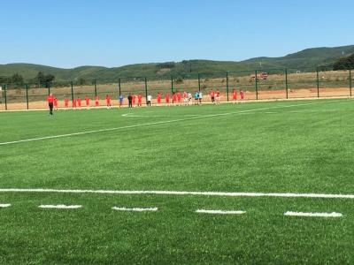 China High Grade New Design Combination Football Grass Artificial Turf for sale