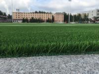 China Woven Backing Soccer Turf Grass Aritificial For Football Field for sale