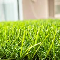 China Artificial Garden Synthetic Turf Grass Flat Monofilament 35mm Height for sale