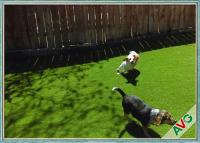 China 35 MM Friendly UV  Resistance Pet Artificial Turf / Synthetic Grass For Dog Playing for sale