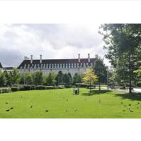 China High Density Flooring Garden Artificial Grass For Synthetic Turf UV Resistance for sale