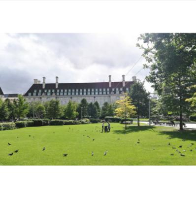 China High Density Flooring Garden Artificial Grass For Synthetic Turf UV Resistance for sale