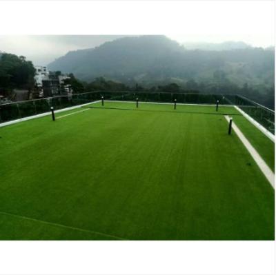 China 50mm Height Garden Artificial Grass Roll Recycled Eco - Friendly for sale