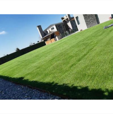 China Anti Colorfading Artificial Grass Turf For Garden Kindergarten Playground for sale