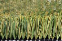 China FOOTBALL SOCCER Grass 60mm Artificial Grass FIFA Certified for sale