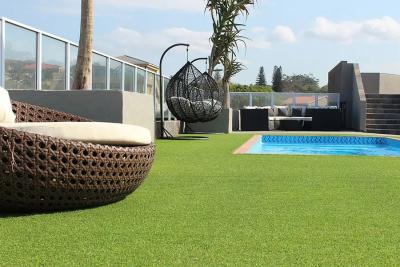China 20mm Height Garden Artificial Grass Landscape Synthetic Turf C Type Monofilament for sale
