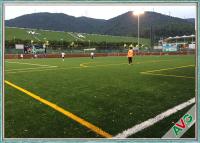 China UV Resistant Soccer Synthetic Grass Long Life All Weather FIFA Standard for sale