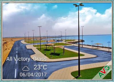 China Monofilament Decorative Garden / Landscaping Artificial Grass Wall Non - Infill for sale