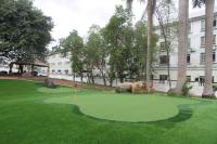 China PP + Fleece Garden Artificial Turf With Bright Color 5 Years Warranty for sale