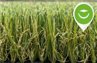China Monofilament Curly Yarn Outdoor Artificial Grass Healthy Landscaping False Turf for sale