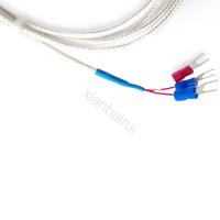 China Pt100 3/4/5mm Temperature Sensor Probe Armored Needle Thermocouples Cable with 1m Length for Use with Controllers for sale