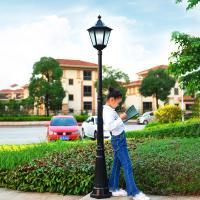 China 6M 5M Outdoor LED Garden Lights , Modern / Vintage Style Outdoor Decorative Pole Lights for sale