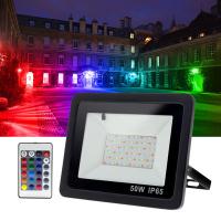 China 270 Degrees 100 W 50 W RGB Outdoor LED Flood Lights for sale