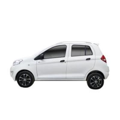 China Raysince hot sales model new energy electric car 5 door 4 Seat electric saloon cars from china for sale