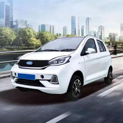 China Raysince New model electric vehicle 4 Seats 5 door China high speed electric car for sale