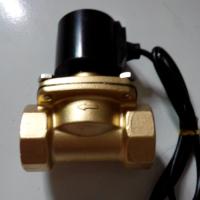 China 2A 220V Solenoid Valve for Water Media Normally Open Brass 220V Underwater Fountain for sale