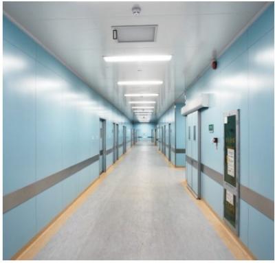 China LED panel/Gas seal lamp panel,operating room/hospital for sale