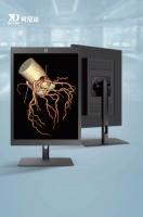 China High-Definition Medical Display with DICOM Compliance for Radiology Grade Imaging for sale