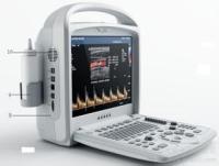 China Multi-frequency 3D / 4D Color Doppler Ultrasound System With Focused Ultrasound Transducer for sale