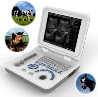 China Veterinary Ultrasound Scanner with 5.0MHz Micro Convex Probe and 10.4-inch LED Display for Animal Diagnostics for sale
