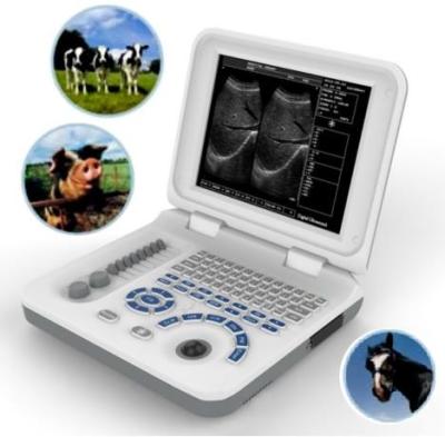 China Veterinary Ultrasound Scanner with 5.0MHz Micro Convex Probe and 10.4-inch LED Display for Animal Diagnostics for sale