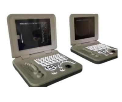 China Digital Veterinary Ultrasound Scanner with 10.4-Inch LED Monitor and 256 Gray Scale for Animal Diagnostics for sale