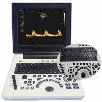China 12-inch LCD Veterinary Ultrasound Machine for Large Animals with 64GB Storage and 3200mAh Battery for sale