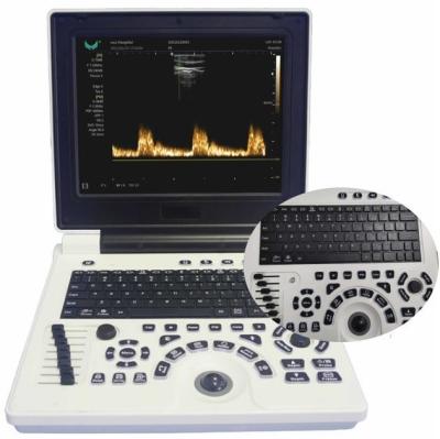China 12-inch LCD Veterinary Ultrasound Machine for Large Animals with 64GB Storage and 3200mAh Battery for sale