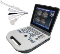 China OEM OB Obstetric Ultrasound Equipment with 12.1 Inch LED Display and 8-Segment TGC Control for sale