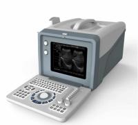China 10.4 Inch LED Display Gynecology Ultrasound Machine with 256 Gray Scale and 128 Image Storage for OB Gyn OEM for sale