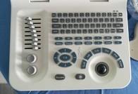 China USB Veterinary Portable Ultrasound Machine with 3.5MHz Convex Probe for Canine Bovine Animals - 10.4