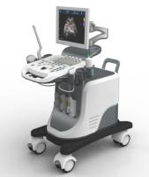 China Full Digital Trolley 4D Echo Ultrasound Machine with 15