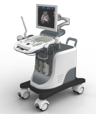 China Full Digital Trolley 4D Echo Ultrasound Machine with 15