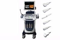 China XF3800 Portable Doppler Ultrasound Scanner with 15-inch Display and PW/CFM/PDI Modes for Medical Diagnostics for sale